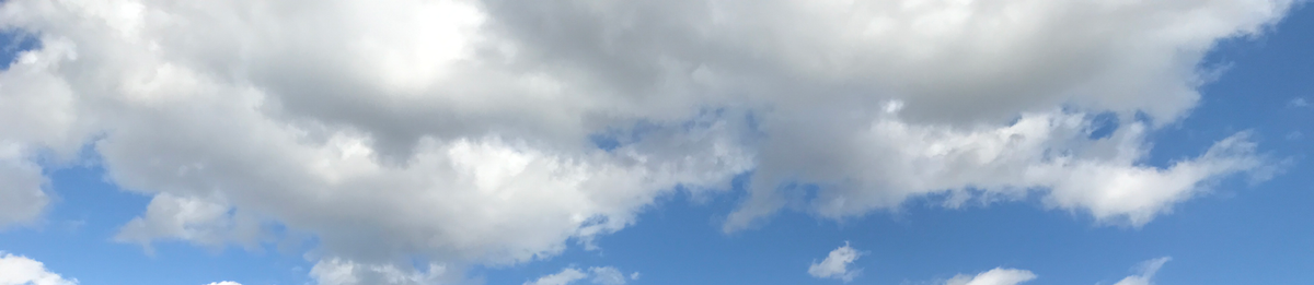 Virtual Training – Kiwiplan, LLC